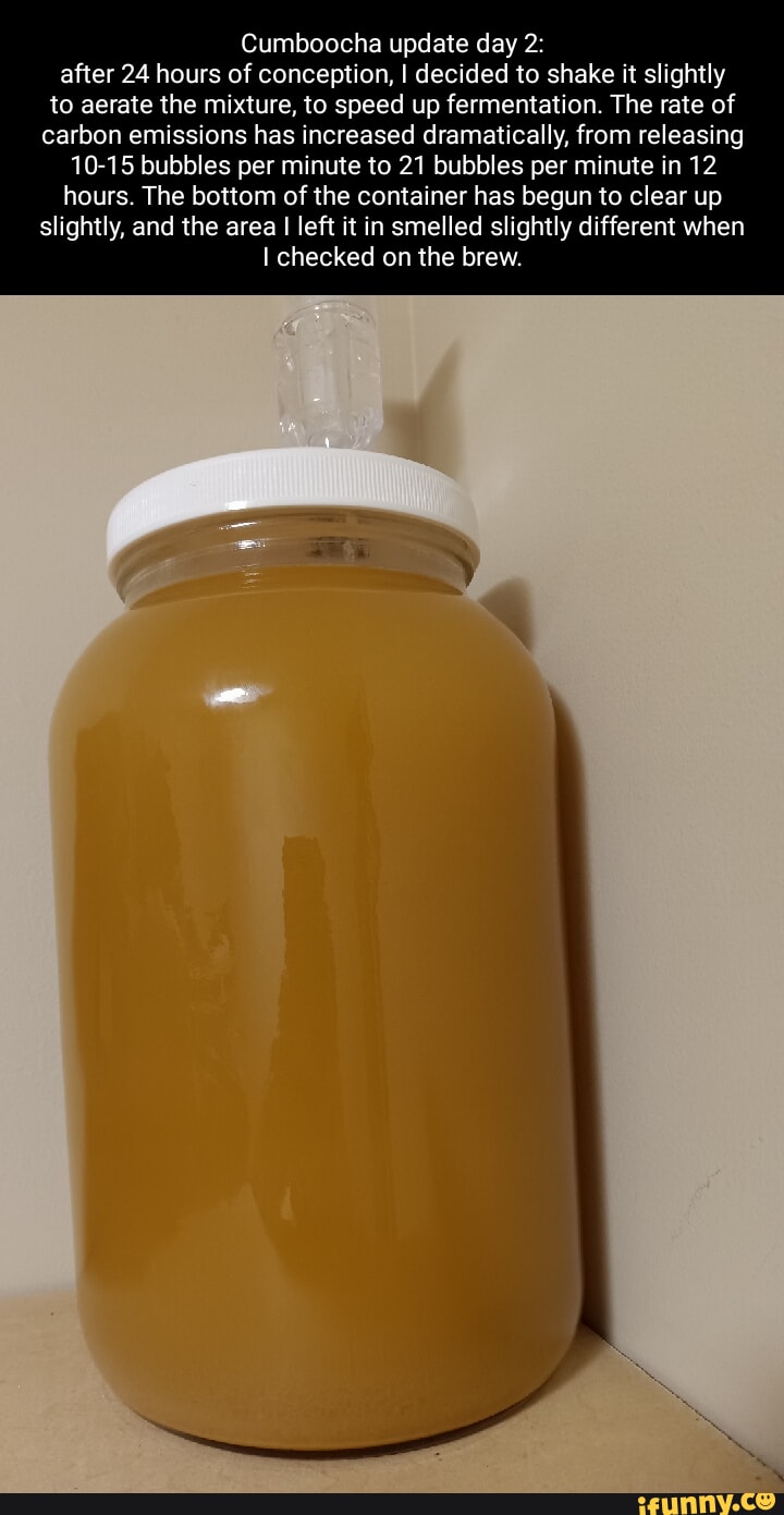 Kombucha memes. Best Collection of funny Kombucha pictures on iFunny