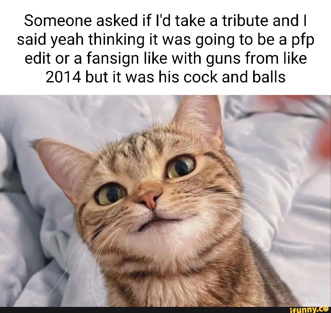 Fansign memes. Best Collection of funny Fansign pictures on iFunny