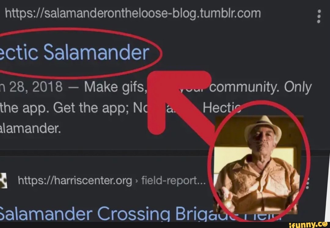 Brio memes. Best Collection of funny Brio pictures on iFunny