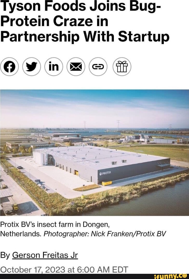 Bvs memes. Best Collection of funny Bvs pictures on iFunny