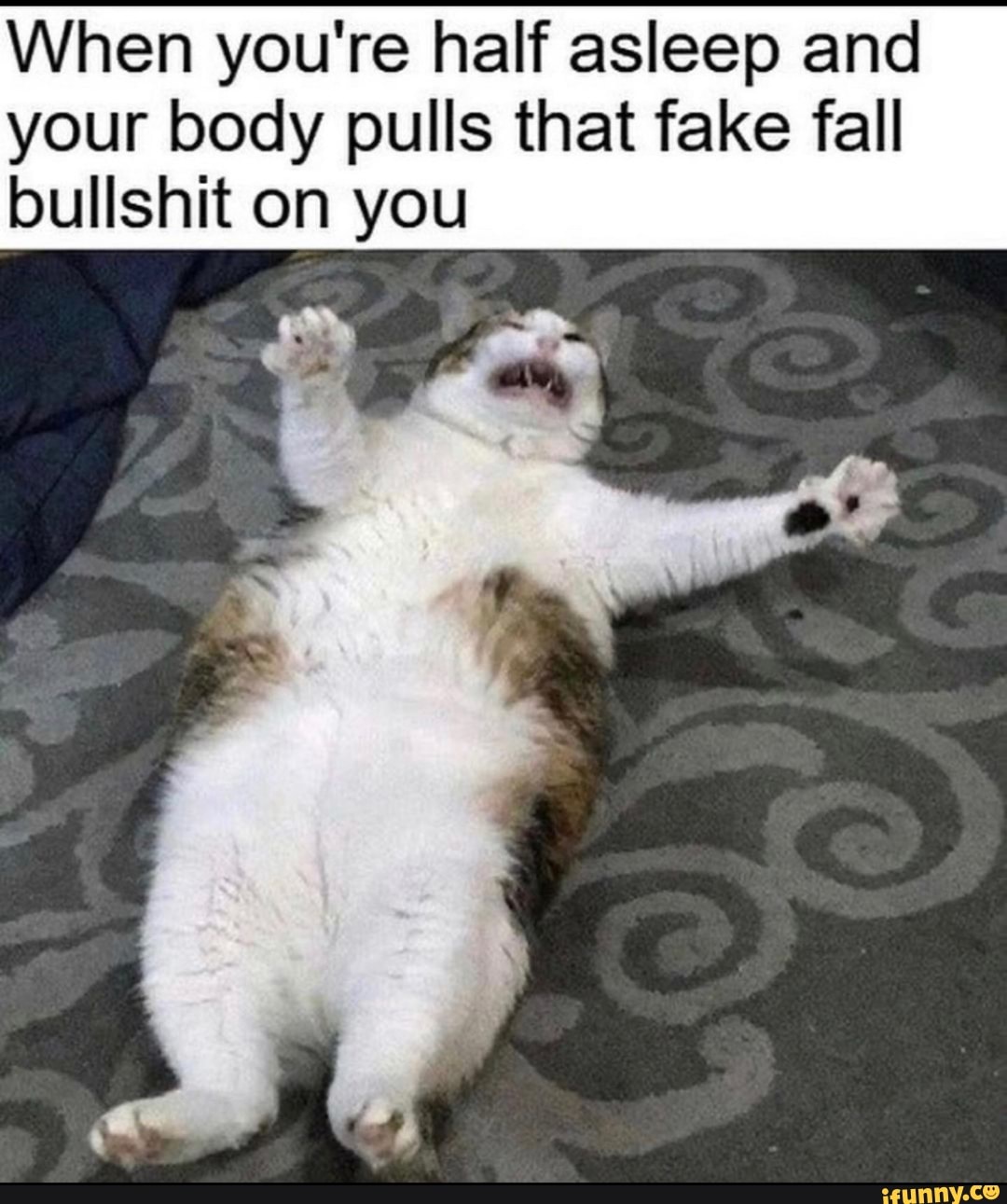 When you're half asleep and your body pulls that fake fall bullshit on ...
