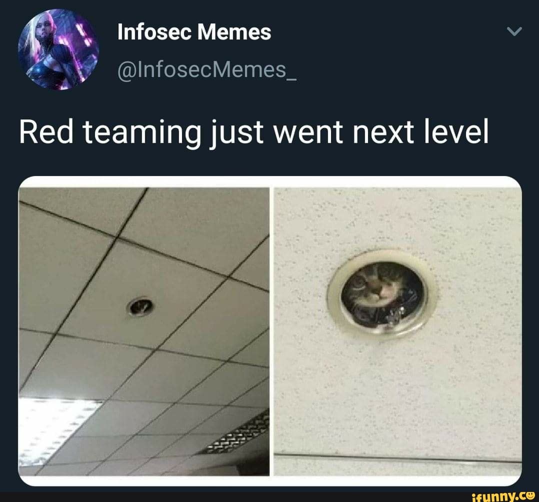 Infosec Memes @InfosecMemes_ Red teaming just went next level - iFunny