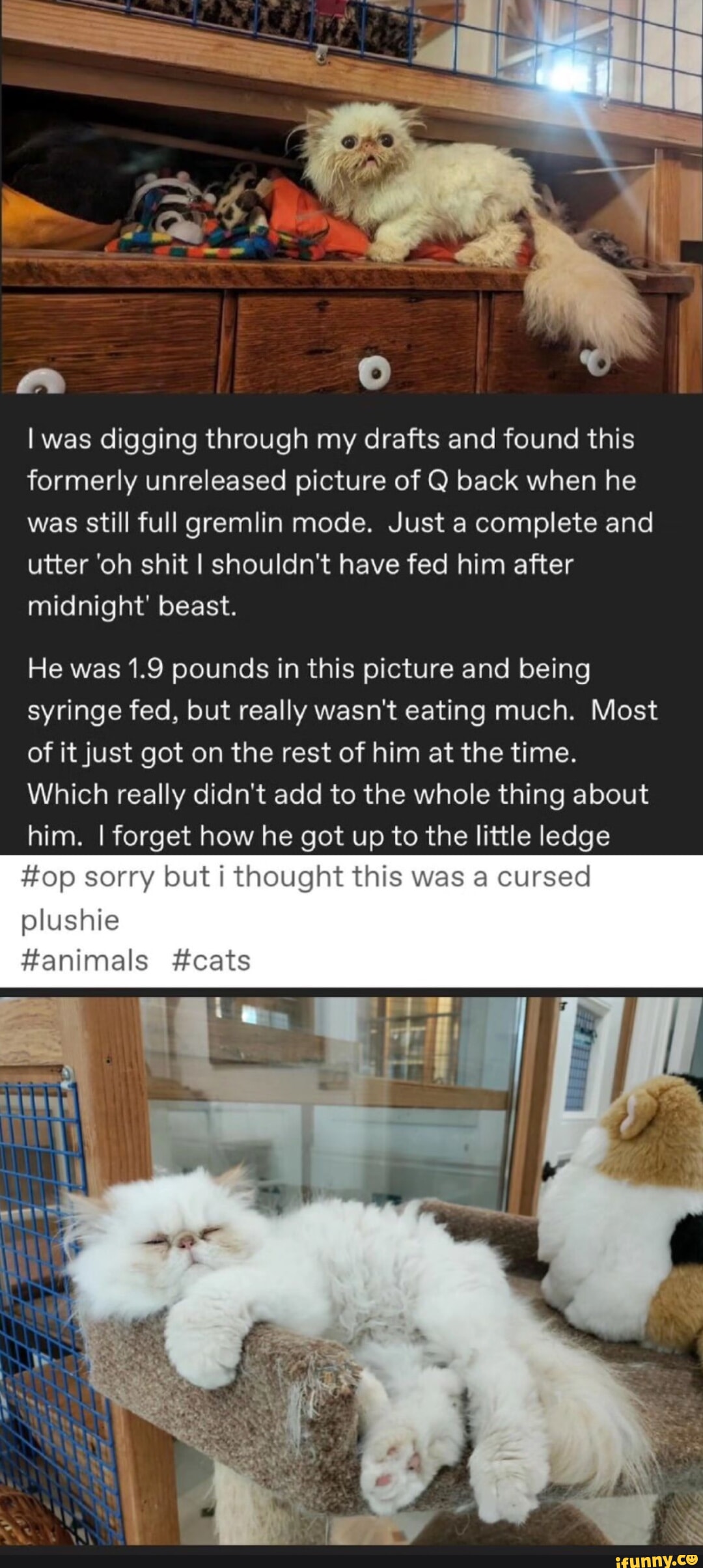 Drafts memes. Best Collection of funny Drafts pictures on iFunny