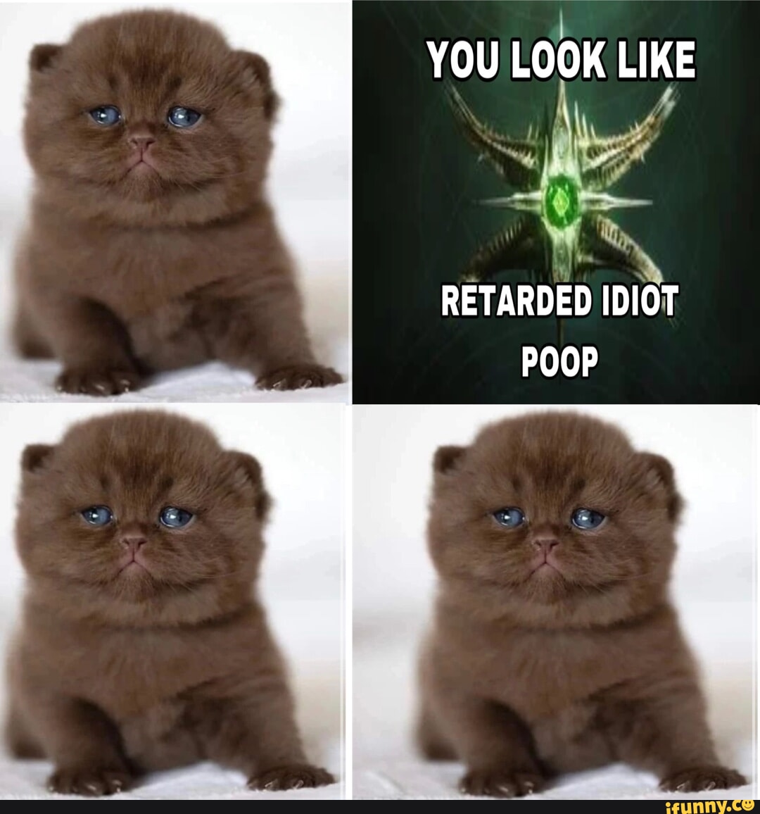 YOU LOOK LIKE RETARDED IDIOT POOP - iFunny