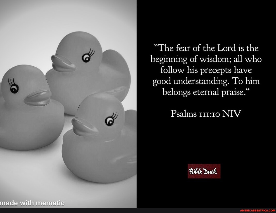 Made with me "The fear of the Lord is the beginning of wisdom; all who ...