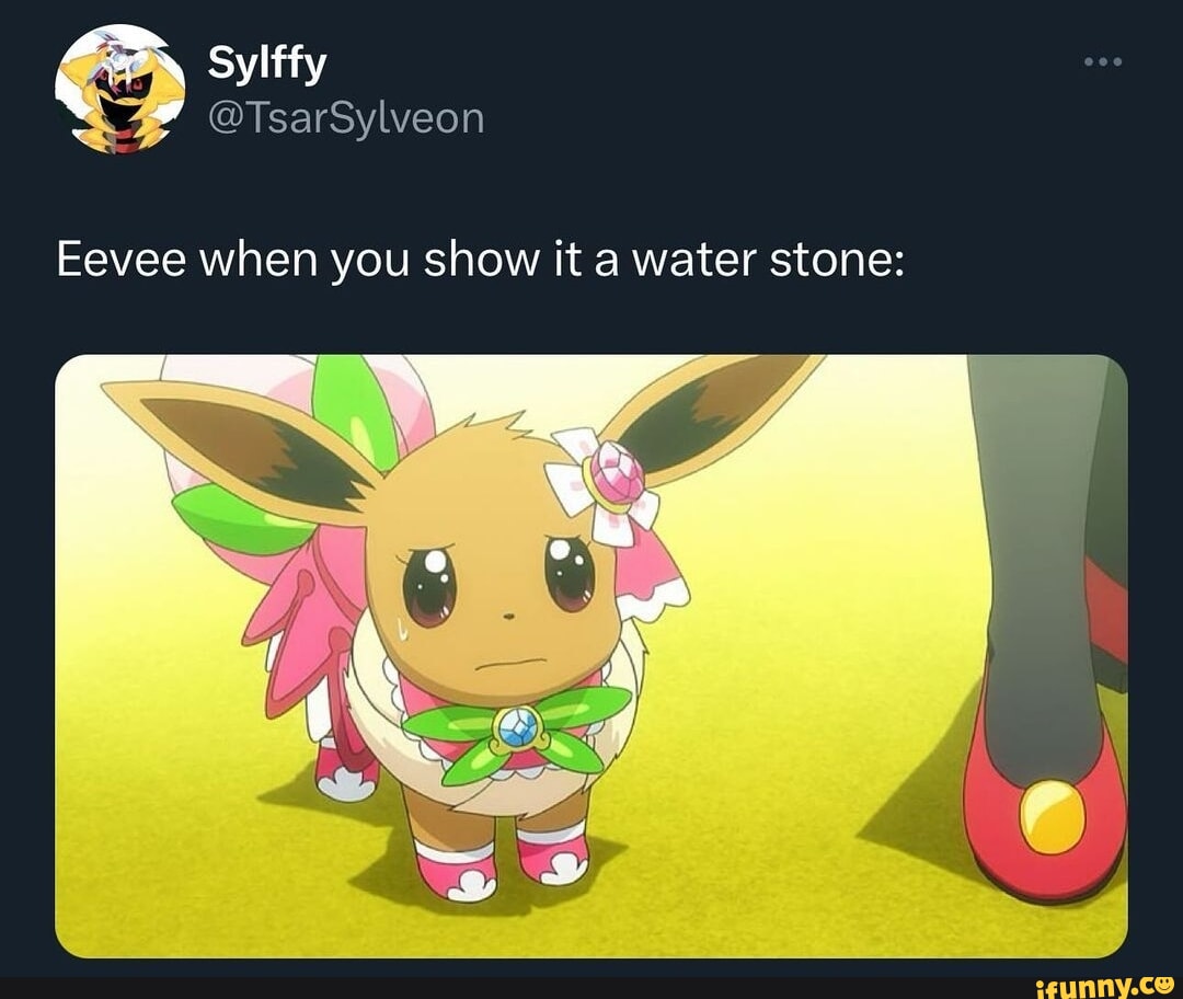 Ta water stone: Eevee when you show - iFunny