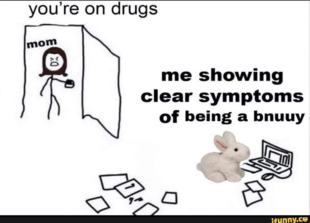 Bnuuy memes. Best Collection of funny Bnuuy pictures on iFunny