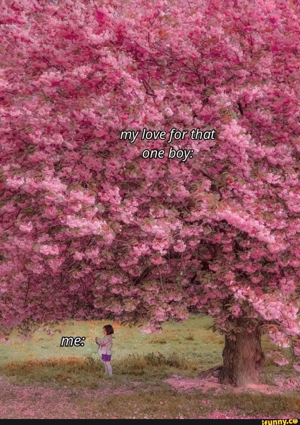 My love for that one boy. - iFunny