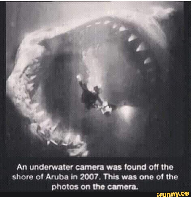 Aruba memes. Best Collection of funny Aruba pictures on iFunny