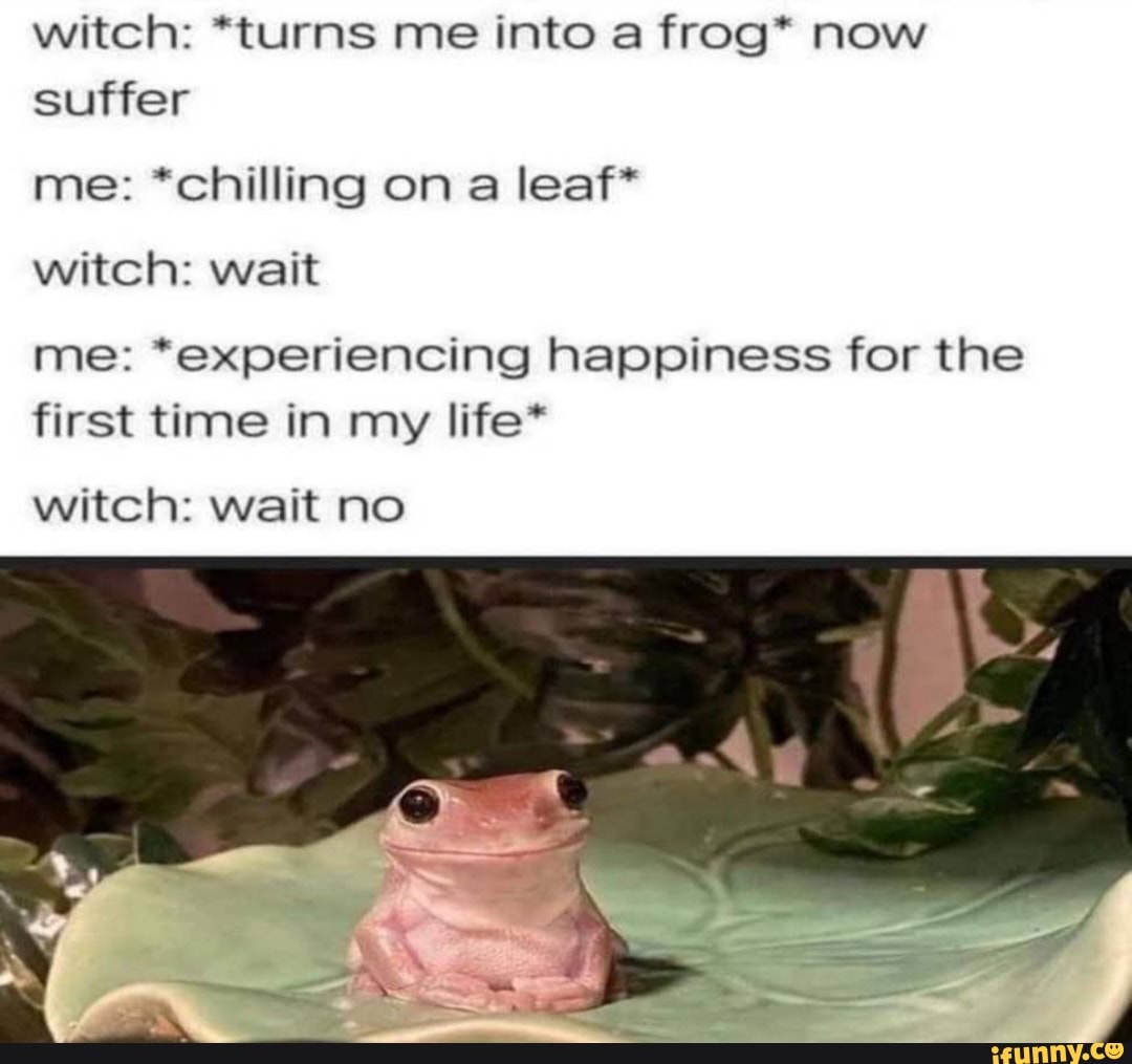 Witch: *turns me into a frog* now suffer me: *chilling on a leaf* witch ...