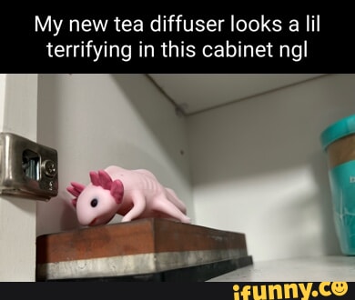 Cabinet memes. Best Collection of funny Cabinet pictures on iFunny