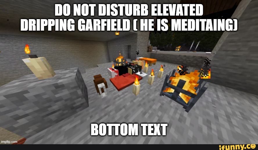 DO NOT DISTURB ELEVATED DRIPPING GARFIELD HE IS MEDITAING) BOTTOM TEXT ...