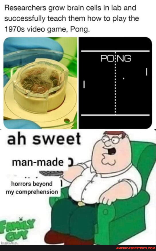 Researchers grow brain cells in lab and successfully teach them how to ...