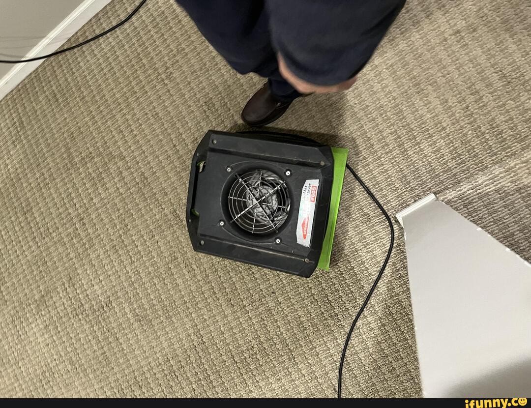 Flood_damage memes. Best Collection of funny Flood_damage pictures on ...