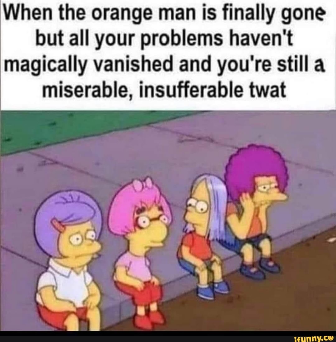 When the orange man is finally gone but all your problems haven't ...