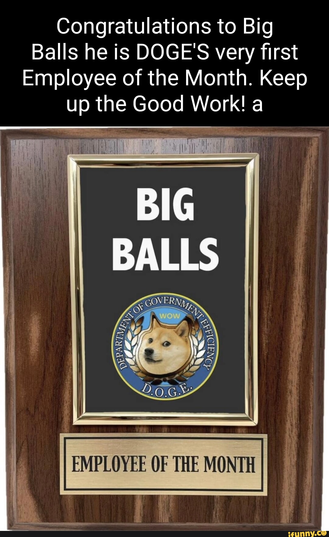 Congratulations to Big Balls he is DOGE'S very first Employee of the ...