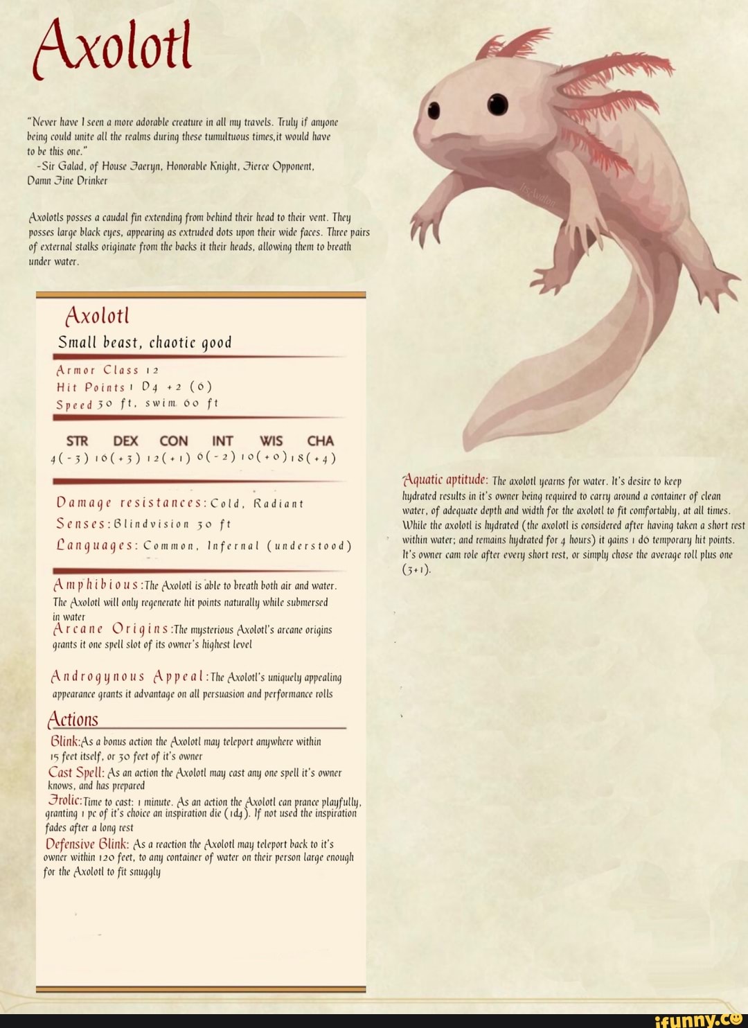 Axolotl "Never have seen a more adorable creature in all my teavels ...