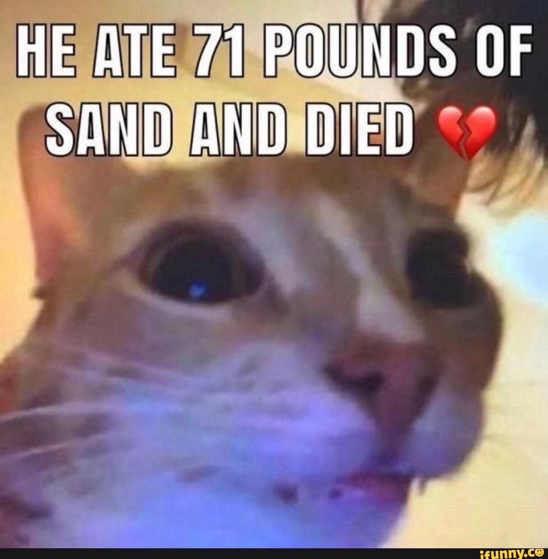 HE ATE 71 POUNDS OF SAND AND DIED - iFunny