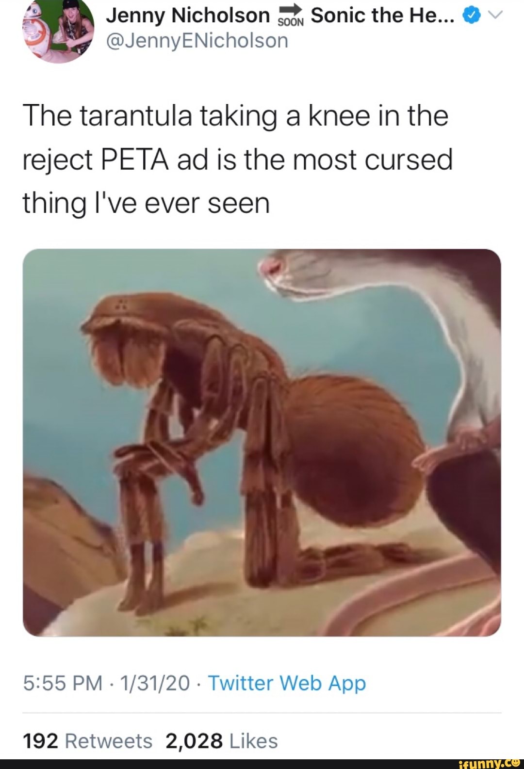 É Jenny 53, The tarantula taking a knee in the reject PETA ad is the ...