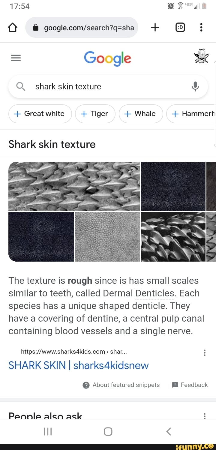 Google shark skin texture + Great white + Tiger + Whale Hammert Shark ...