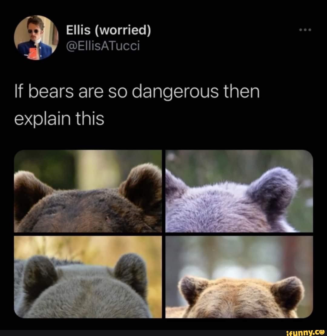 (worried) If bears are so dangerous then explain this - iFunny