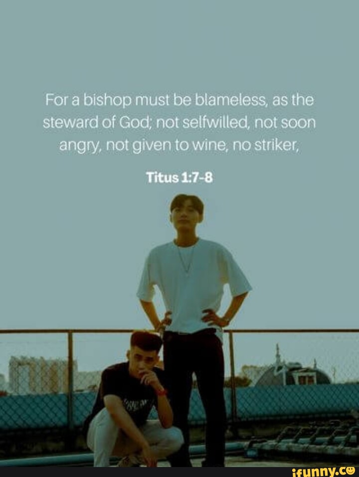 Steward memes. Best Collection of funny Steward pictures on iFunny