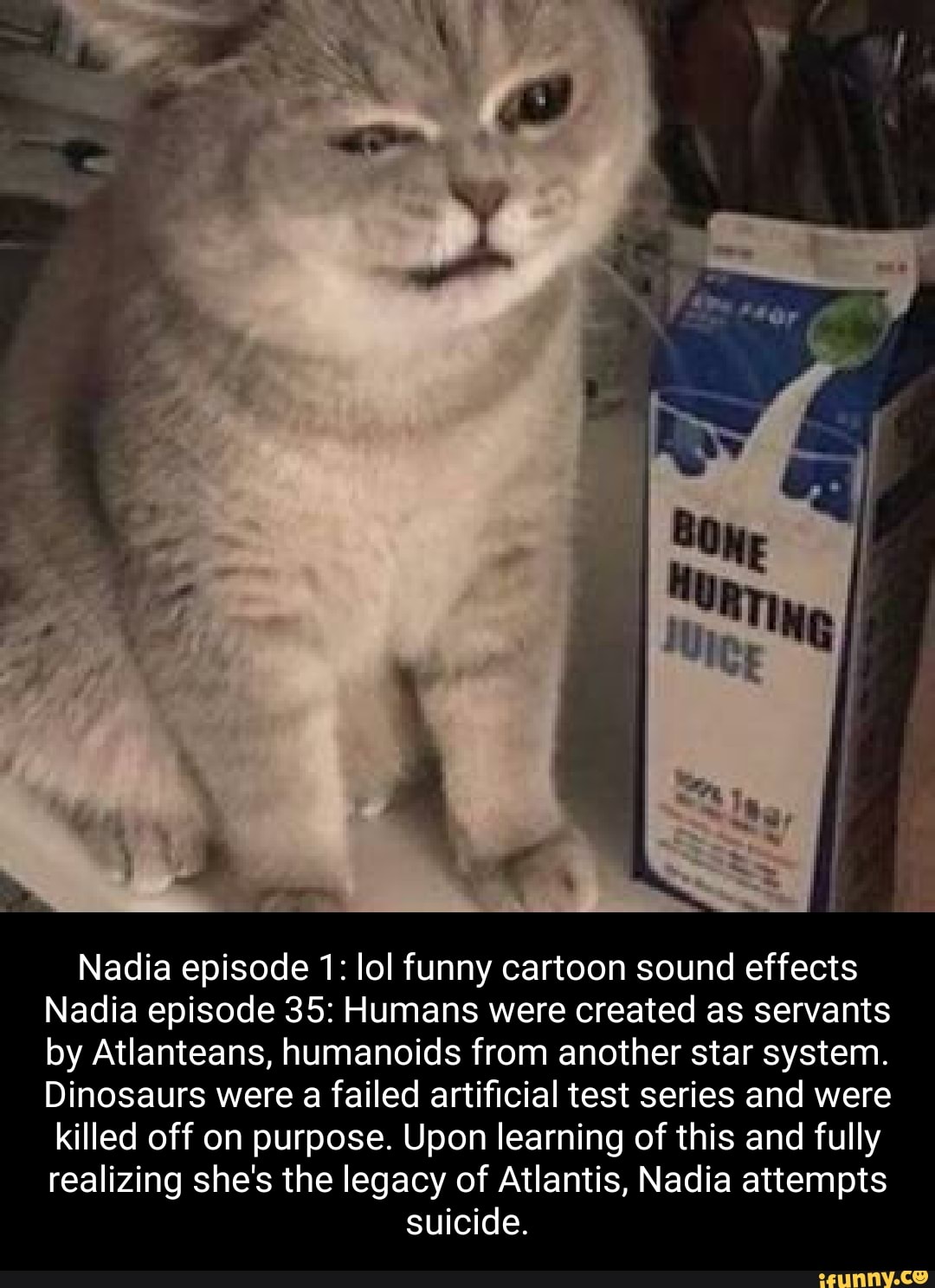 Nadia memes. Best Collection of funny Nadia pictures on iFunny