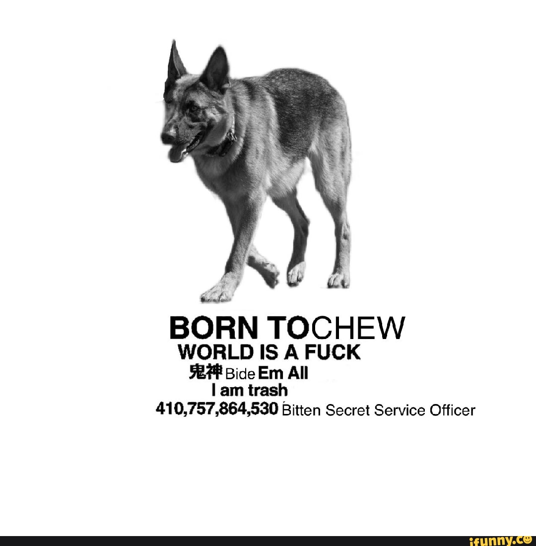 BORN TOCHEW WORLD IS A FUCK Bide Em All am trash 410,757,864,530 Bitten ...