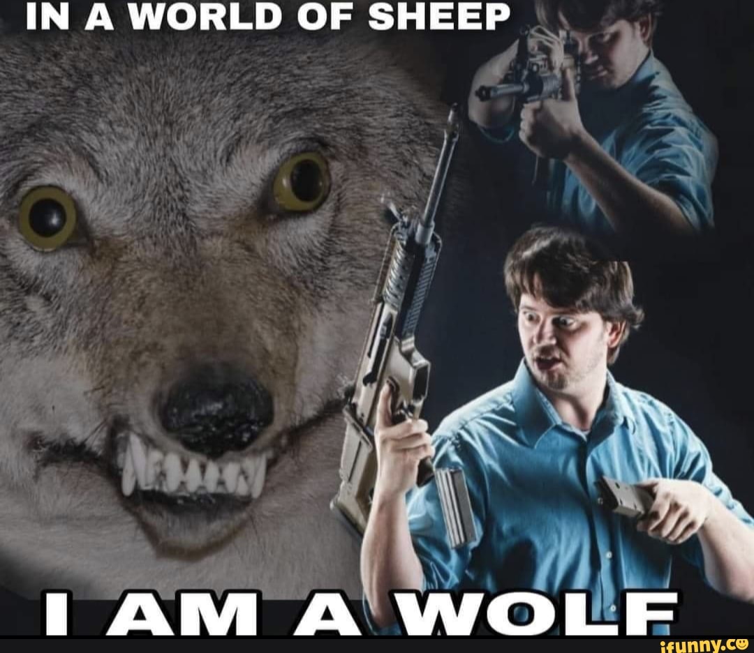 IN A WORLD OF SHEEP AM A WOLF - iFunny
