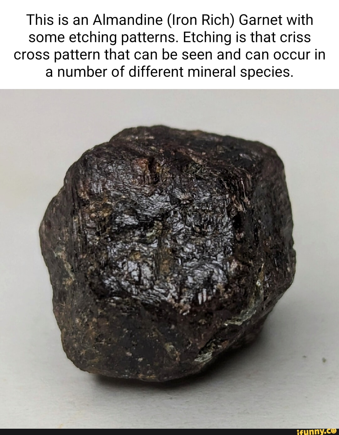 Garnet memes. Best Collection of funny Garnet pictures on iFunny