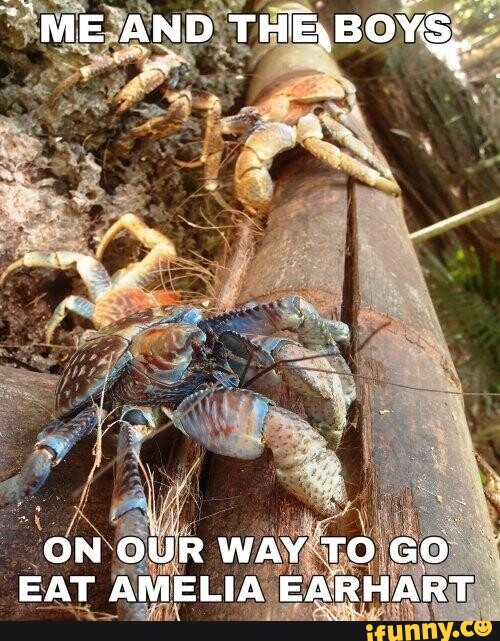 ME AND ON OUR WAY TO GO EAT AMELIA EARHART - iFunny