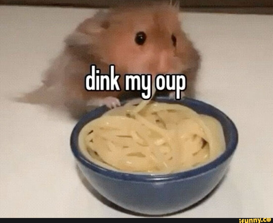 Hampter memes. Best Collection of funny Hampter pictures on iFunny