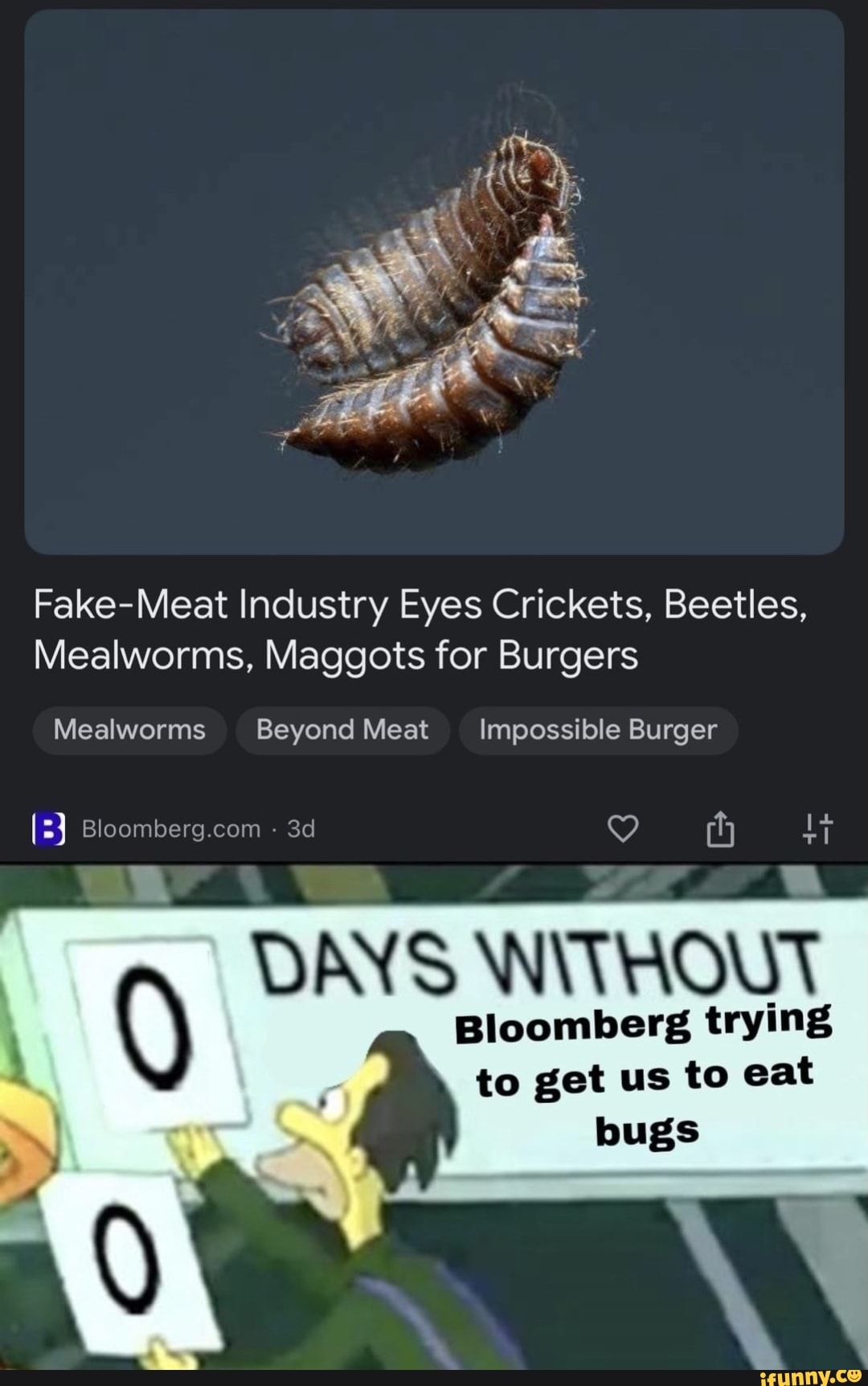 Fake-Meat Industry Eyes Crickets, Beetles, Mealworms, Maggots for ...