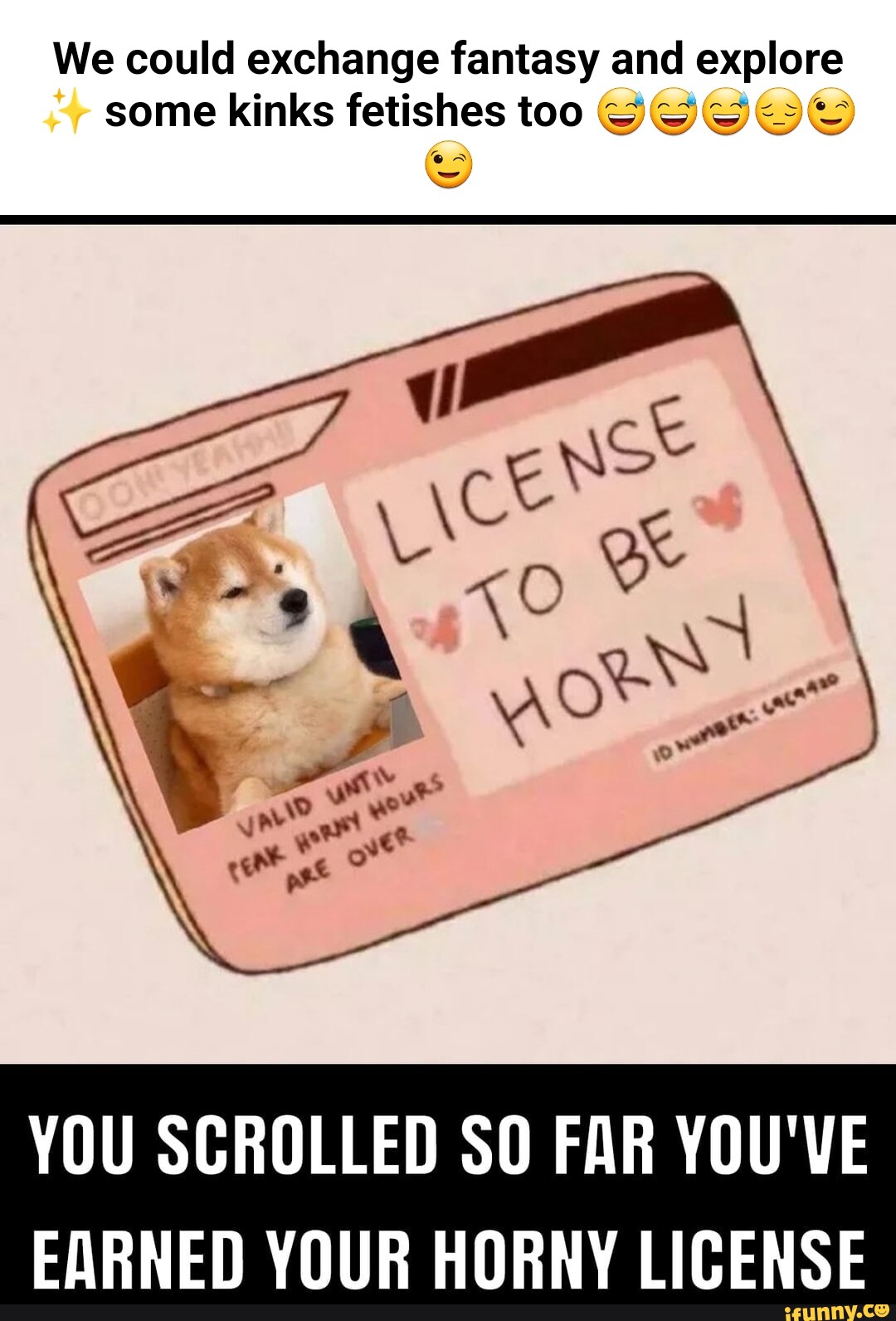 We could exchange fantasy and I explore some kinks fetishes too YOU ...