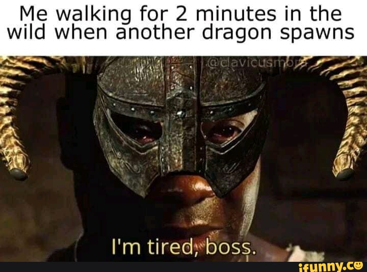 Me walking for 2 minutes in the wild when another dragon spawns I'm ti ...