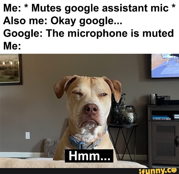Me: * Mutes google assistant mic * Also me: Okay google... Google: The ...