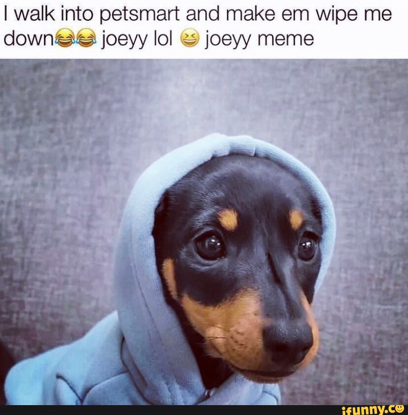 Joeyy memes. Best Collection of funny Joeyy pictures on iFunny