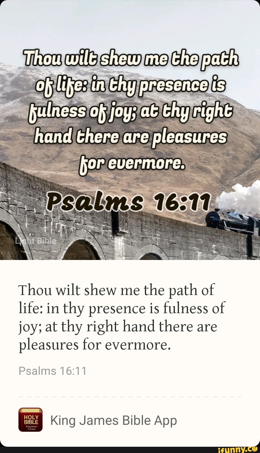 Shew memes. Best Collection of funny Shew pictures on iFunny