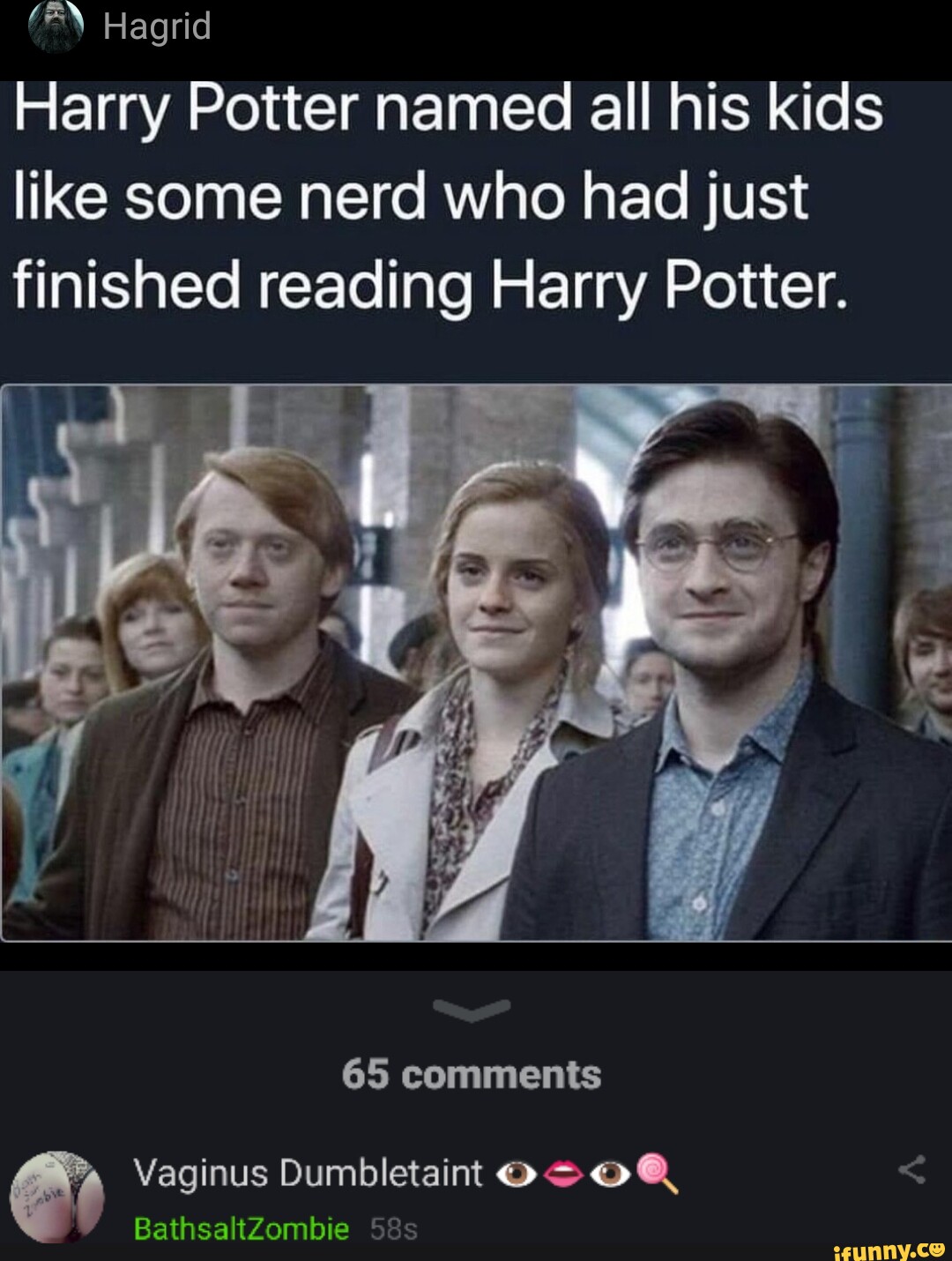 Hagrid Harry Potter named all his kids like some nerd who had just ...