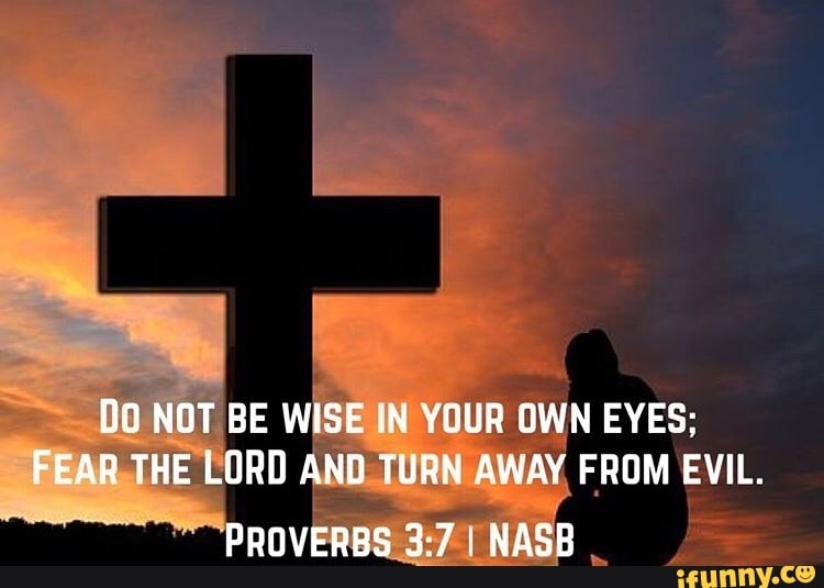 NOT BE WISE IN YOUR OWN EYES; FEAR THE LORD AND TURN AWAY FROM EVIL ...