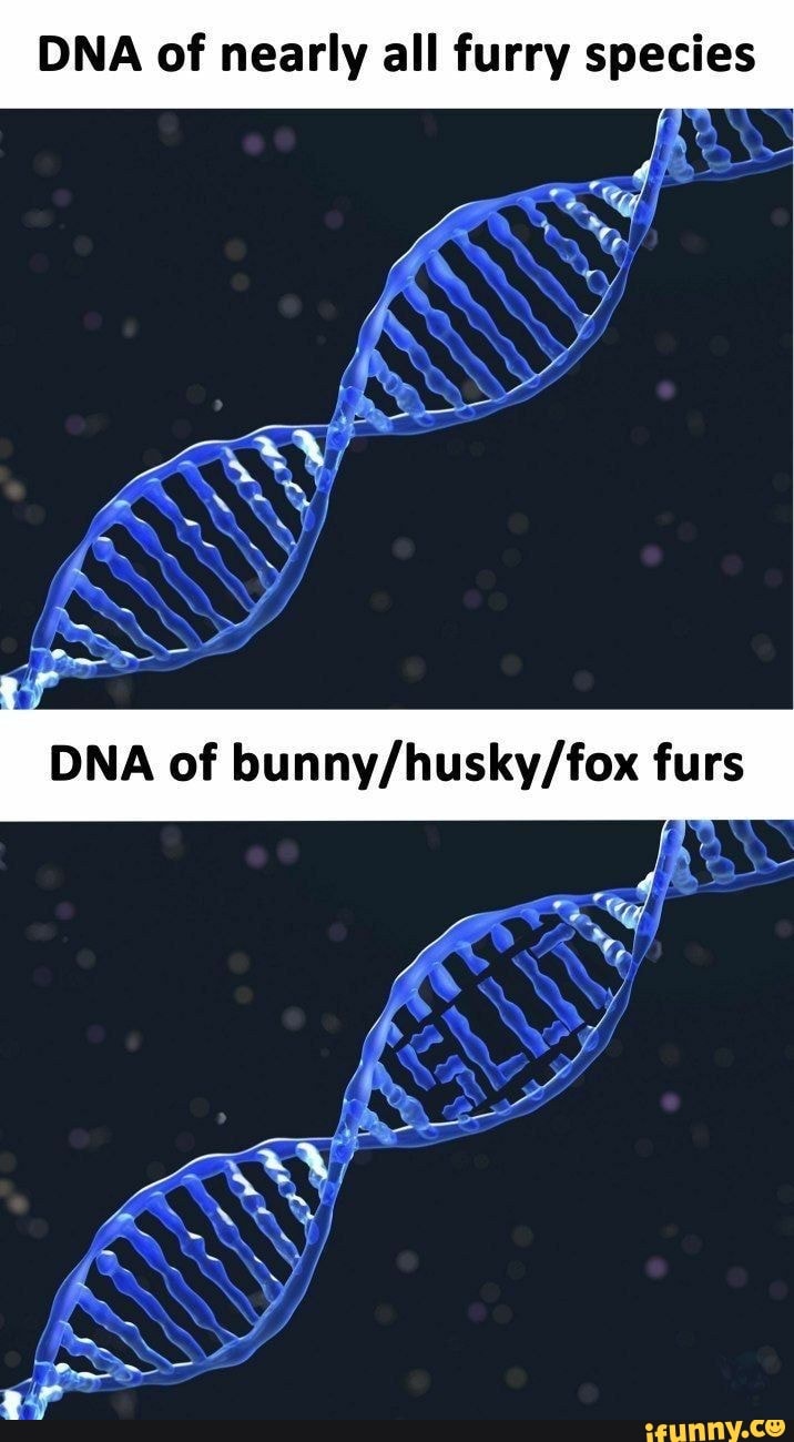 DNA of nearly all furry species - iFunny