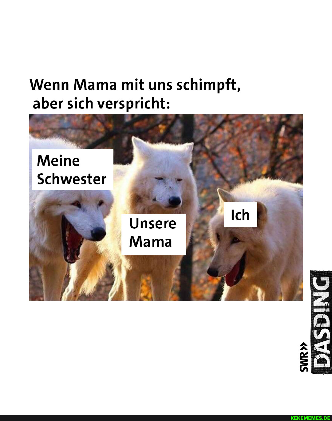 * bloß nicht lachen, bloß nicht lachen * Einfach immer anders schwer ...