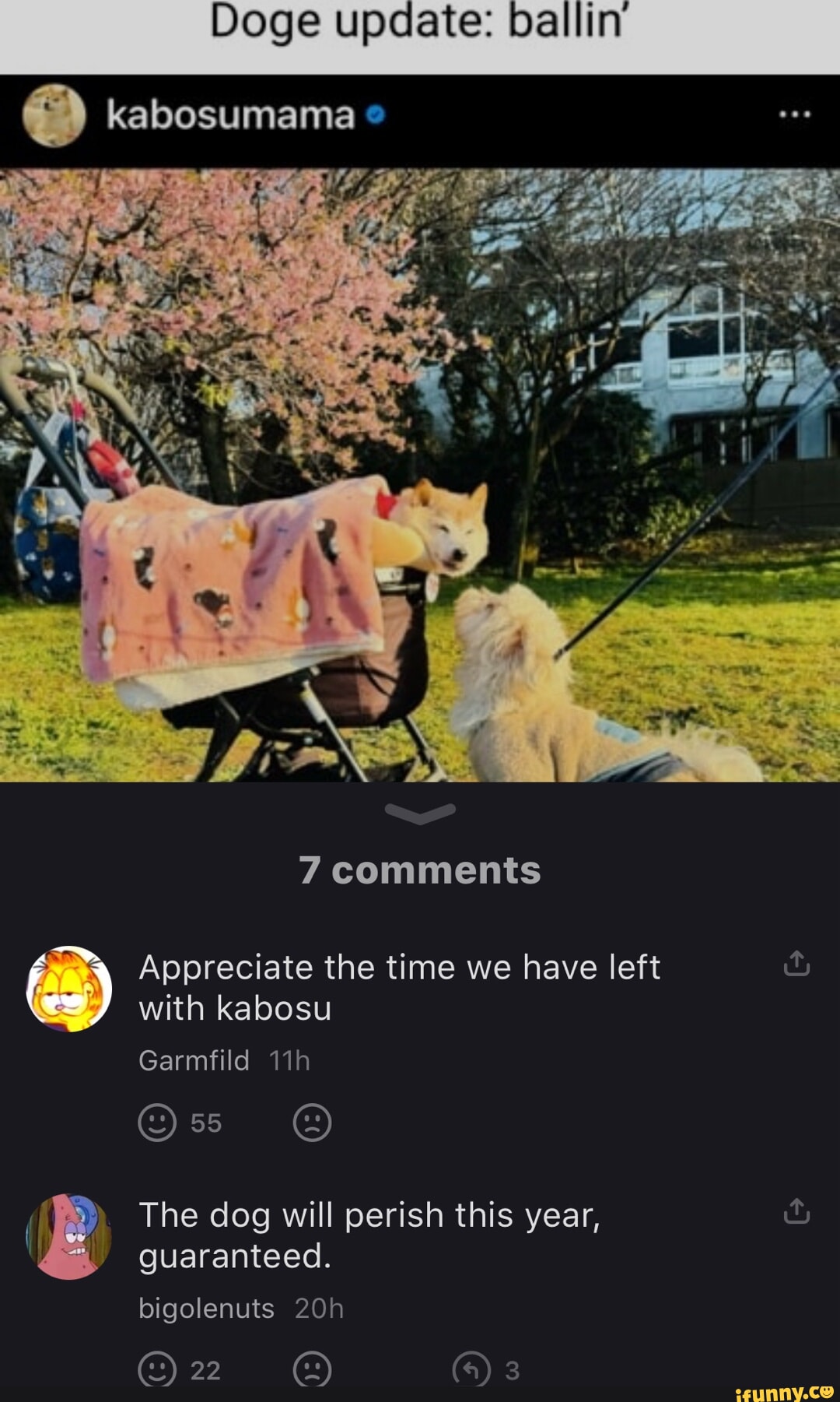 Ballin memes. Best Collection of funny Ballin pictures on iFunny