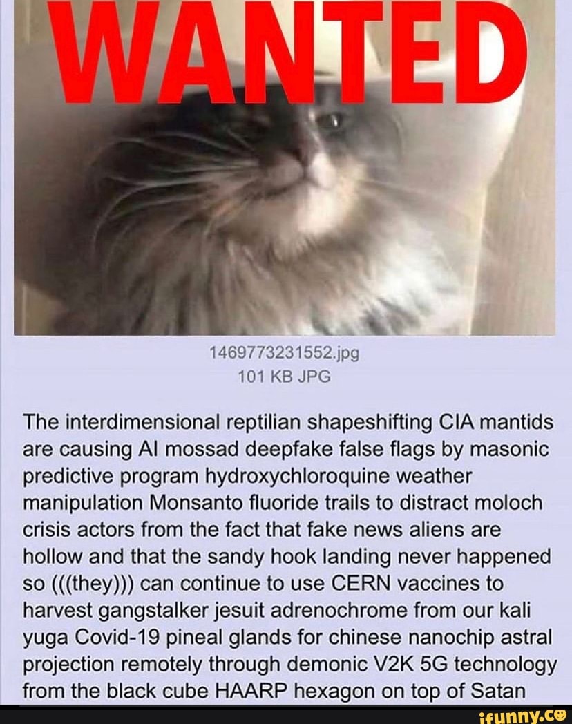 Mossad memes. Best Collection of funny Mossad pictures on iFunny