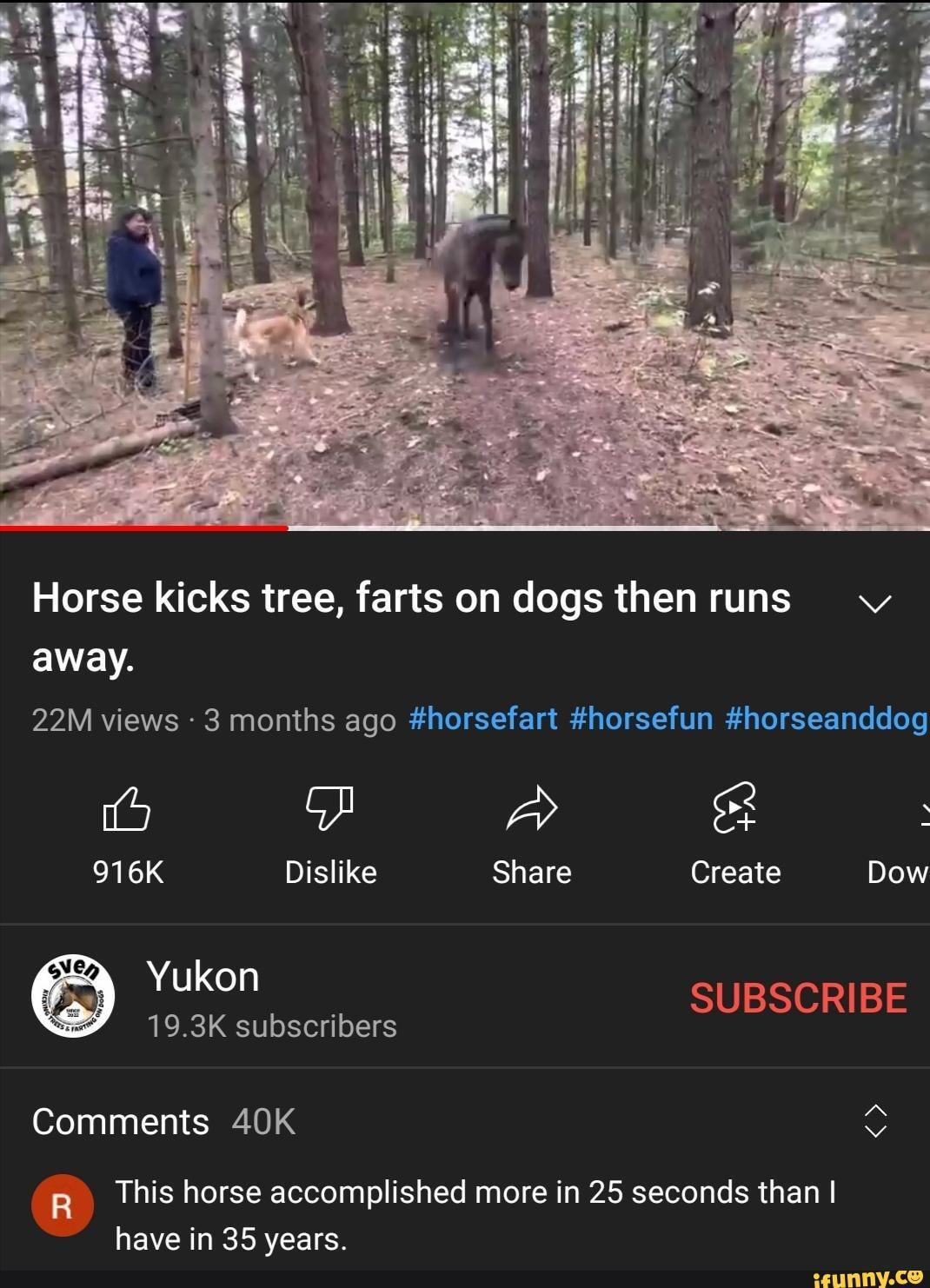 Horse kicks tree, farts on dogs then runs away. views -3 months ago # ...