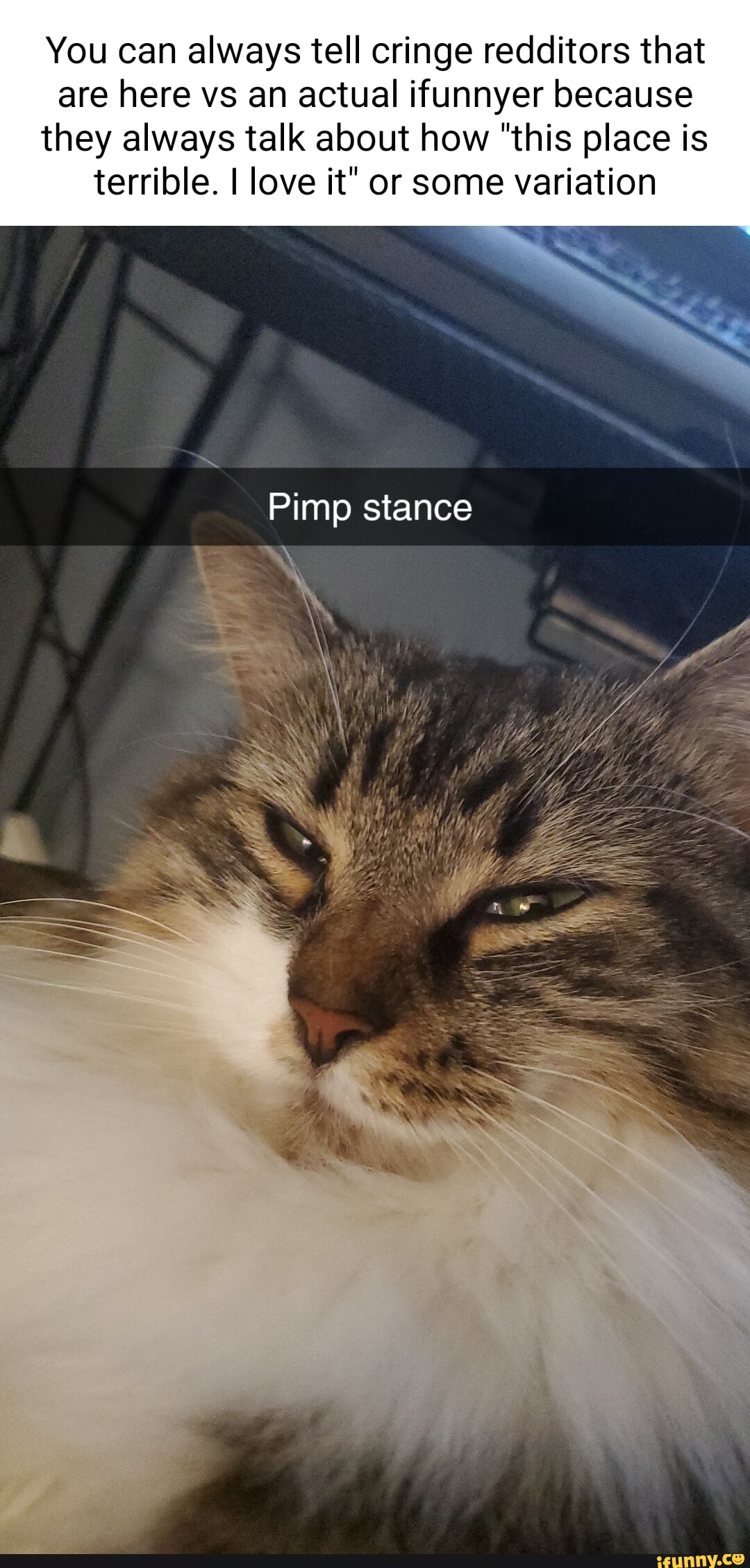 You can always tell cringe redditors that are here vs an actual ...