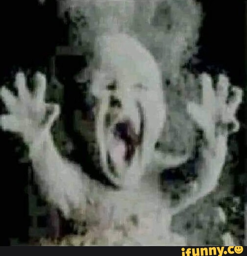 Cwispy memes. Best Collection of funny Cwispy pictures on iFunny