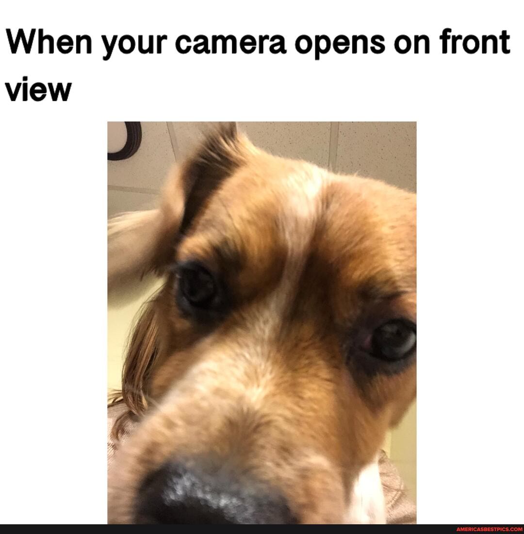 When your camera opens on front view - America’s best pics and videos