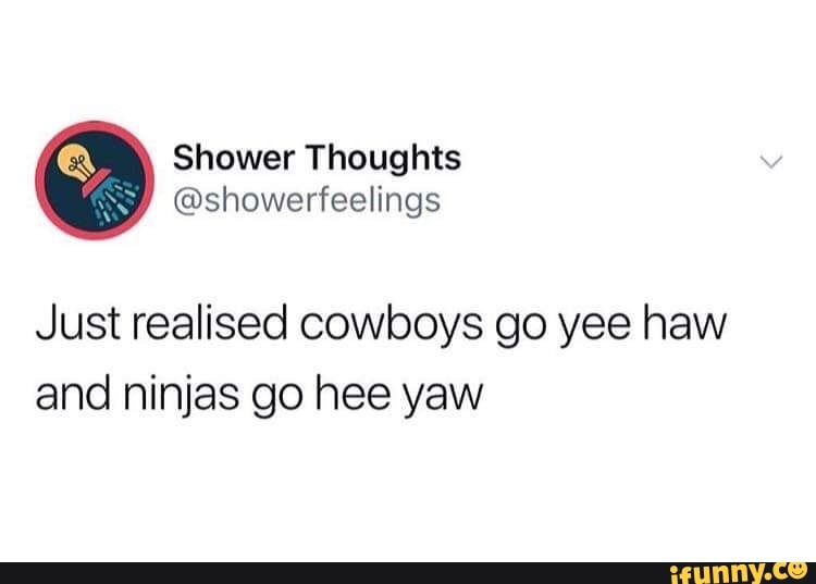 Just realised cowboys go yee haw and ninjas go hee yaw - iFunny