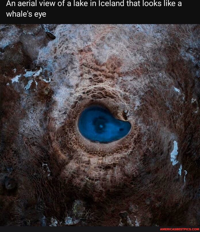 An aerial view of a lake in Iceland that looks like a whale's eye ...